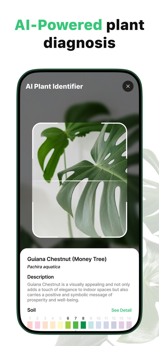 AI Plant Identifier - iOS App Source Code by UtilityManDev | CodeCanyon
